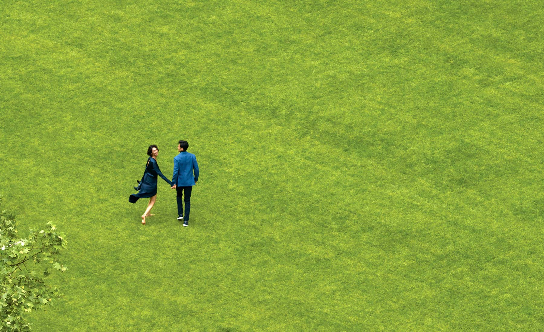 IF Studio | Branding Agency