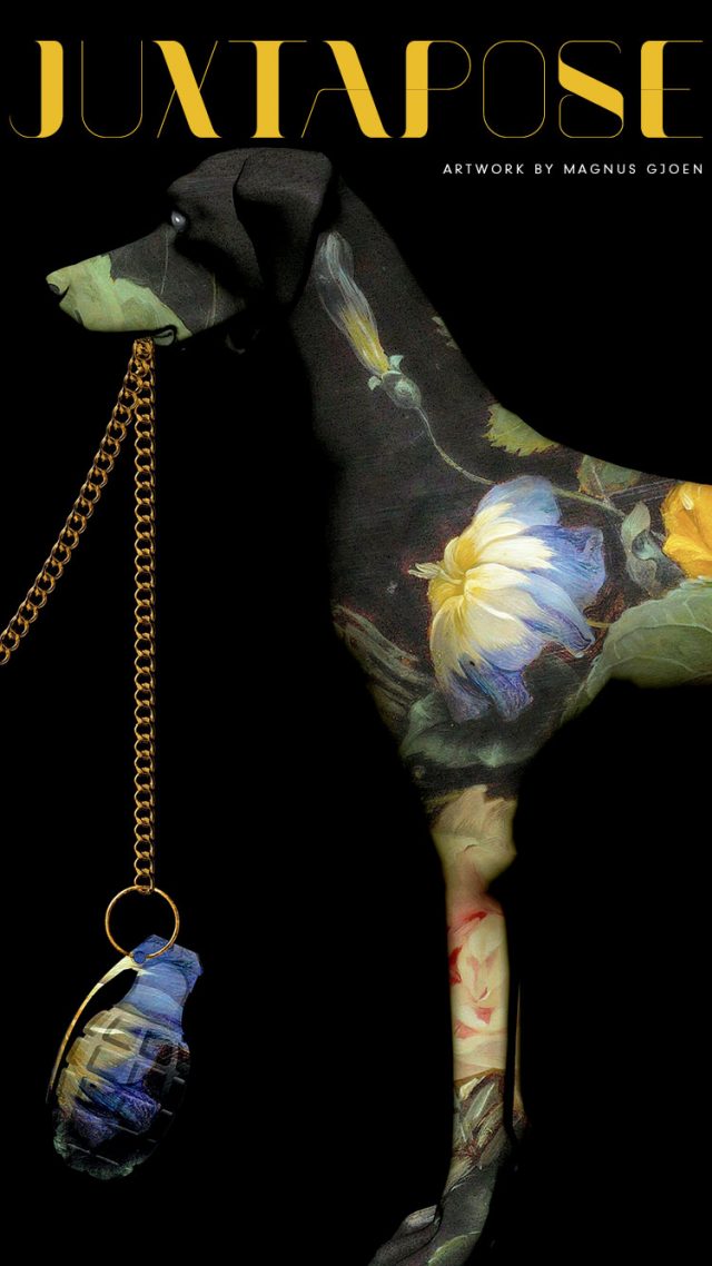 IF Studio | Branding Agency